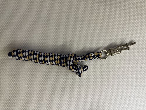 Passier Halfter & Stricke gebraucht kaufen // BillyRider ᐅ