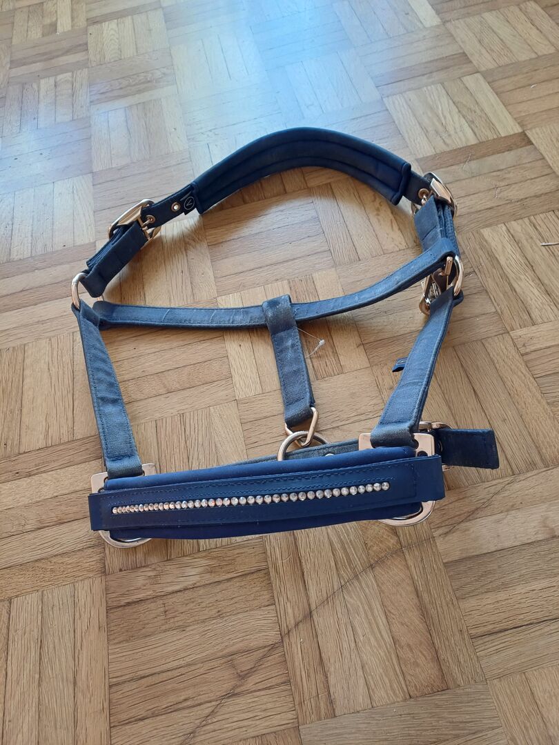 Gebraucht: Eskadron Halfter, Mara // BillyRider ᐅ