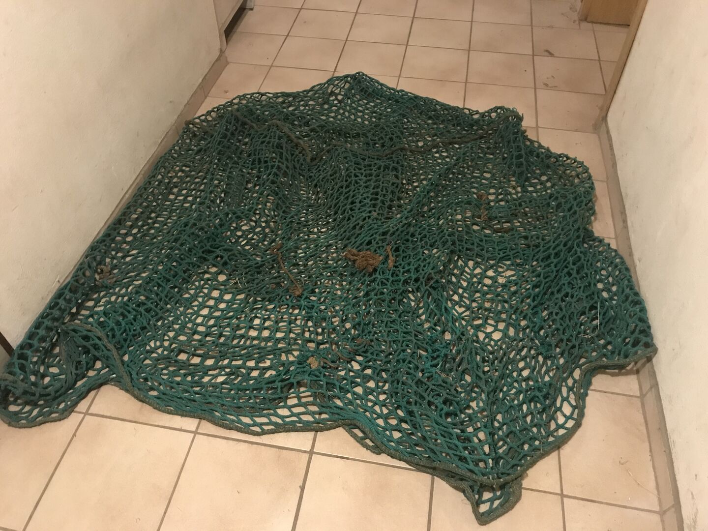 Konege Heunetz Rundballen, Petra Scha.. // BillyRider ᐅ