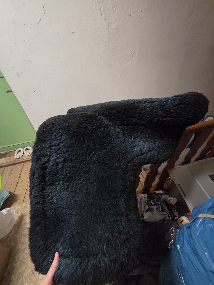 Gebraucht: MATTES Lammfellsa.., Diana Krul.. // BillyRider ᐅ